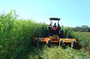 Vrisimo » Coastal Tractor, California